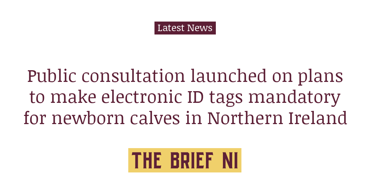 Public consultation launched on plans to make electronic ID tags ...