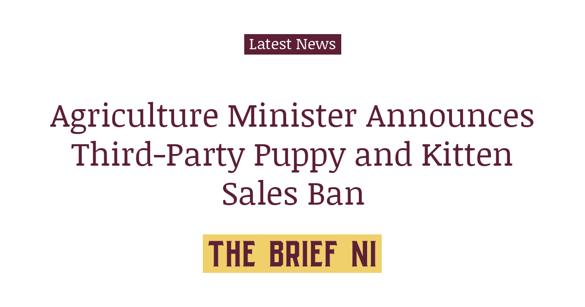 Agriculture Minister Announces Third-Party Puppy and Kitten Sales Ban ...